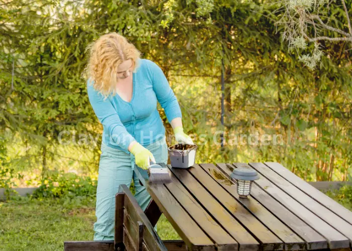 🎨Everything You Need to Know About Staining Wood